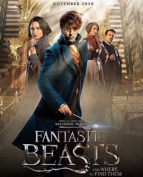 fantastic-beasts-and-where-to-find-them-movie | The Reader's Room